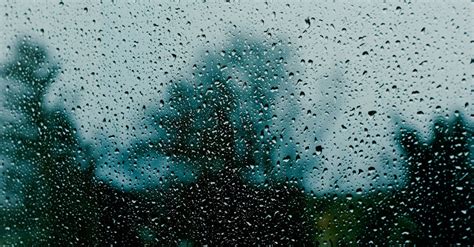 H2 O 감기 거품 고요한 관념적인 깨끗한 나무 날씨 달래는 똑똑 떨어지는 맑은 물방울 물을 튀기다 바람 방울 비 비 내리는 빗방울 습기