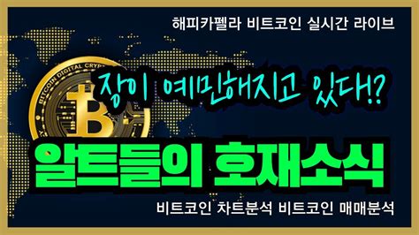 비트코인 실시간 알트코인 호재소식 장이 예민해지고 있다 925 저녁💎비트코인 비트코인실시간 이더리움 리플 Cryptocurrency 차트분석 Youtube
