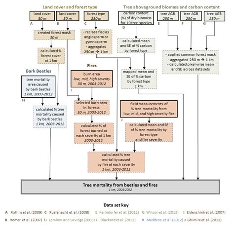 Workflow Illustrating Data Sets Solid Boxes And Processing Steps