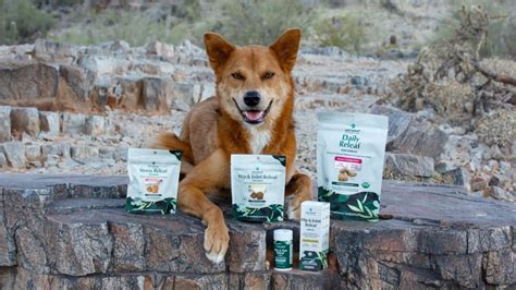 Pet Releaf Cbd Dog Chews