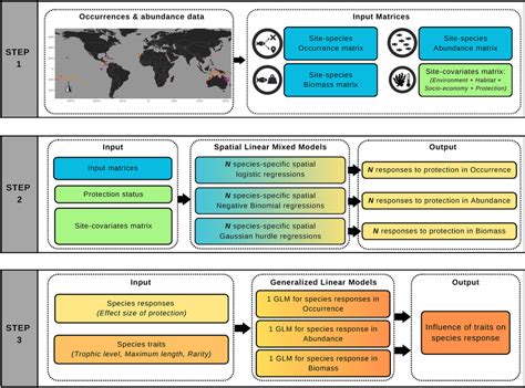 Workflow Chart Describing The Three Main Steps Of Our Analyses Download Scientific Diagram