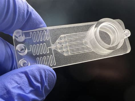 Hazem Choukaife Posted On Linkedin