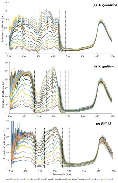 Derived Spectral Extinction Coefficient Of A Cylindrica N Gaditana Download Scientific