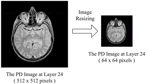 Image Resizing Process Download Scientific Diagram