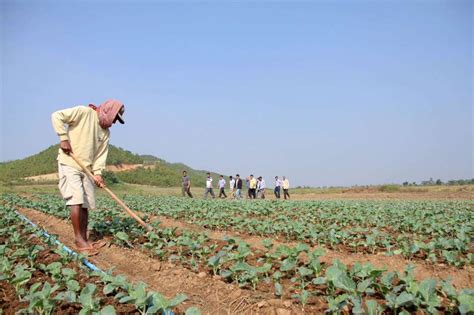 បន្លែ ផ្លែឈើ និងត្រី សាច់ កំពុងខ្លាយជាតម្រូវការចំបាច់នៅលើទីផ្សារកម្ពុជា សម្លេងសហគមន៍ខ្មែរ