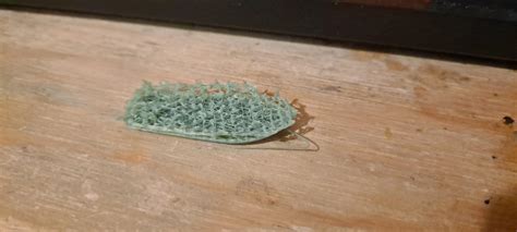 Wtf Is Wrong With My Printer R3dprinting