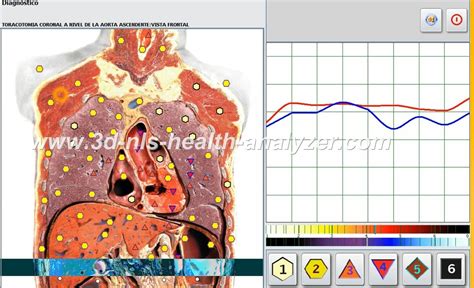 3d Nls Analizador What It How Work Why It Maikong 3d Nls Health
