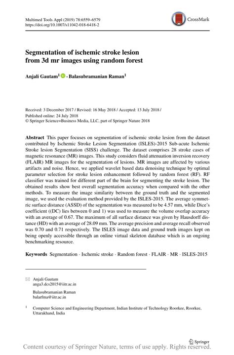 Segmentation Of Ischemic Stroke Lesion From 3d Mr Images Using Random