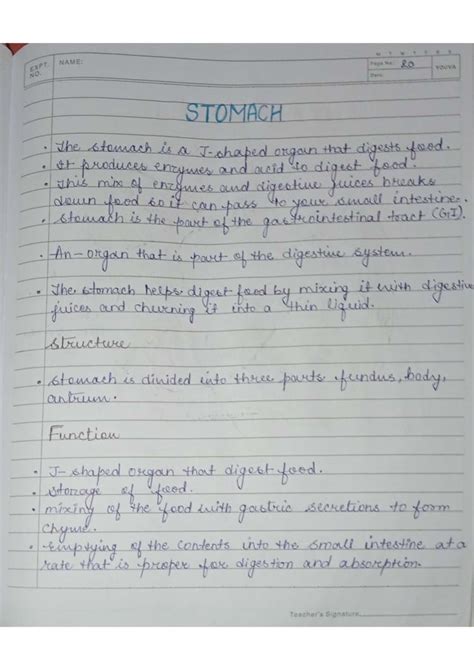 Anatomy Practical Copy Pdf