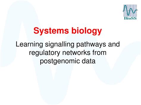 Ppt Reverse Engineering Gene Regulatory Networks Powerpoint Presentation Id 5739106