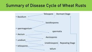 Rust And Its Management Pdf