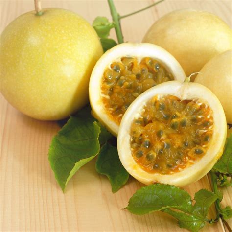 Yellow Passion Fruit Tree Seedling Yellow Passion Fruit Live Plant