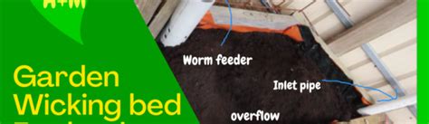 2023 ← Basic Lowdown No Waffle