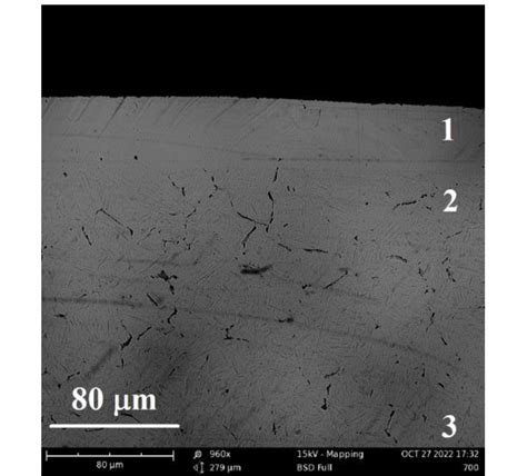 Microhardness Distribution In The Surface Layer Of Steel Sample After Download Scientific