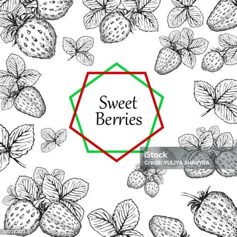 딸기 세트입니다 흰색 배경에 고립 된 열매와 잎의 벡터 손으로 그린 그림입니다 딸기에 대한 스톡 벡터 아트 및 기타 이미지 딸기 그리기 패턴 Istock