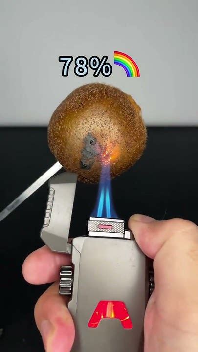 Lighter 🆚 Kiwi 🥝 Lighter Youtube