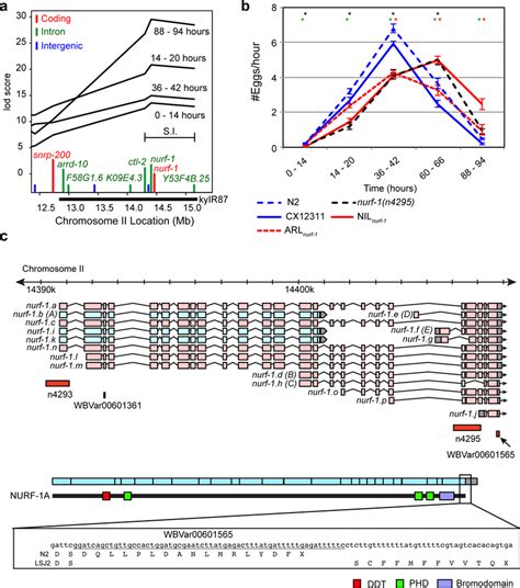 The Major Effect Qtl On Ii Is Partially Explained By A 60 Bp Deletion Download Scientific