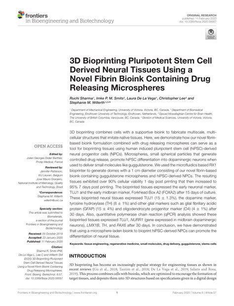 Pdf 3d Bioprinting Pluripotent Stem Cell Derived Neural Tissues Using A Novel Fibrin Bioink