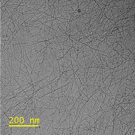 Morphologies Of Tempo Cnfs Observed Using Cryo Em An Aqueous Solution