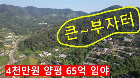 4천만원 양평임야 83억가치 건축개발가능 큰~부자터 숲야영장 세컨하우스 숲~힐링 전원생활 숲가치70억 탄소권1044만원 땅과함께새희망을경매임야공매임야 나도땅주인
