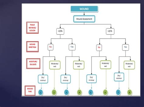 Wound Algorithm Pptx