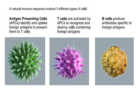 Basic Immunotherapy Pptx