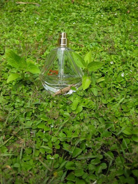 Close Up Of Perfume Bottle On Green Grass Stock Image Image Of Jungle