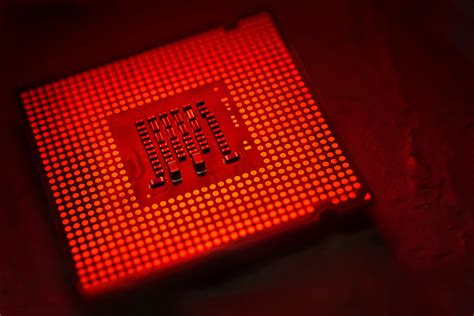 Quantum Safe Cyberhive