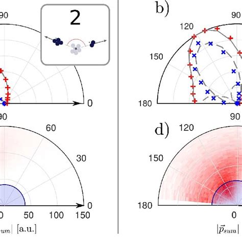 Fragment Momentum Angular Correlation Of Clusters In Double A C And
