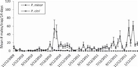 The Mean Number Of Male Mealybugs Se Caught In Traps Baited With The Download Scientific