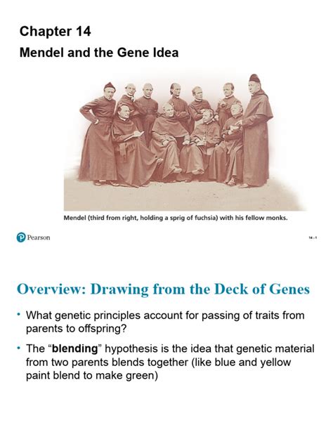 biol 1020 lecture 9 pdf