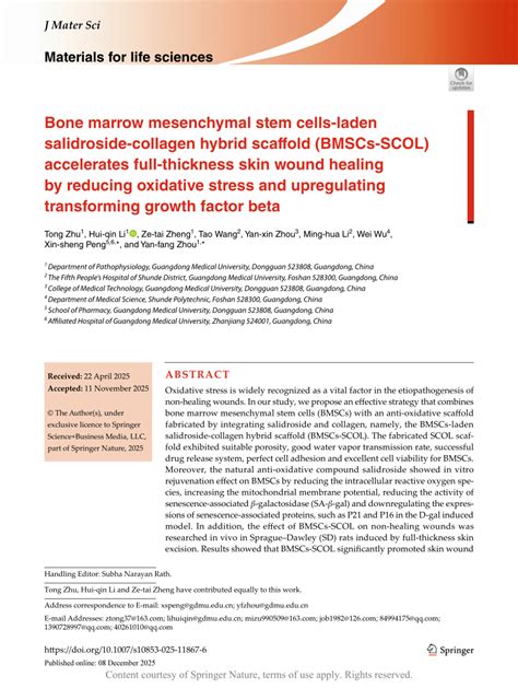 Bone Marrow Mesenchymal Stem Cells Laden Salidroside Collagen Hybrid Scaffold Bmscs Scol
