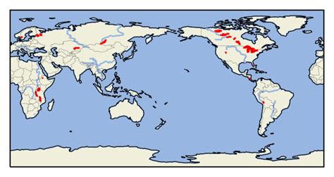 气象常用库 Cartopy常用用法总结 腾讯云开发者社区 腾讯云