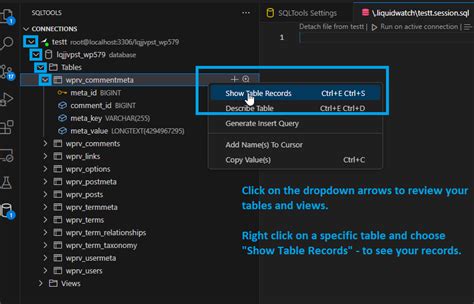 How To Connect To Mysql Mariadb Using Sqltools In Vscode Liquid Web
