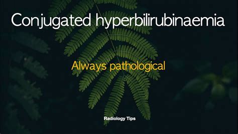 Conjugated Hyperbilirubinaemia And Ultrasound Features Of Gallbladder