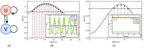Different Behaviours Of The Gierer Meinhardt System 5 A Network Download Scientific