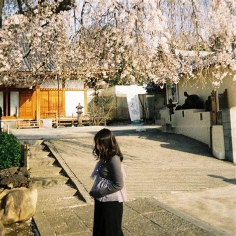 貴重なミイラが見られる！上野公園内にある「国立科学博物館」の見どころを徹底調査！②【日本館】 いろはめぐり