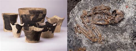 Ancient Dna Extracted From Human Bones Rewrites Early Japanese History