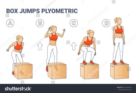 948 Imágenes De Plyometric Imágenes Fotos Y Vectores De Stock