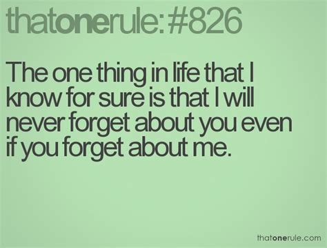 I Wont Forget You Quotes Quotesgram