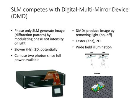 Biology 177 Principles Of Modern Microscopy Ppt Download