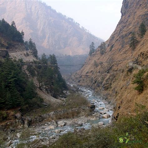 Ecosystem Restoration And Riparian Buffer Zones Verdant Visionaries Research Institute