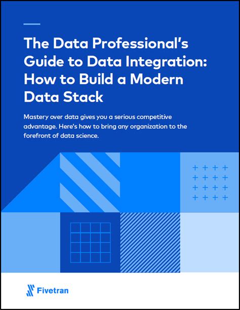 The Data Professionals Guide To Data Integration Wisdominterface