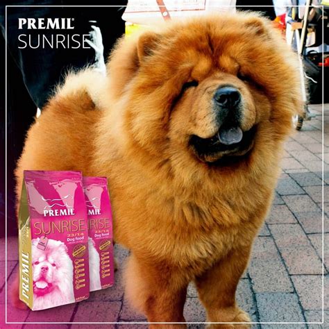 🥇461 р. – Premil Sunrise гипоаллергенный корм для собак диетическое ...