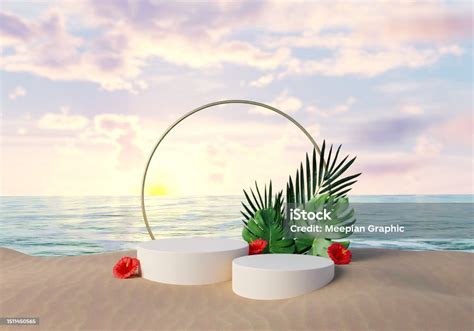 여름 식물이 있는 연단의 3d 렌더링 복사 공간이 있는 창의적인 열대 개념 아이디어 3d 렌더링 그림 0명에 대한 스톡 사진 및 기타 이미지 Istock