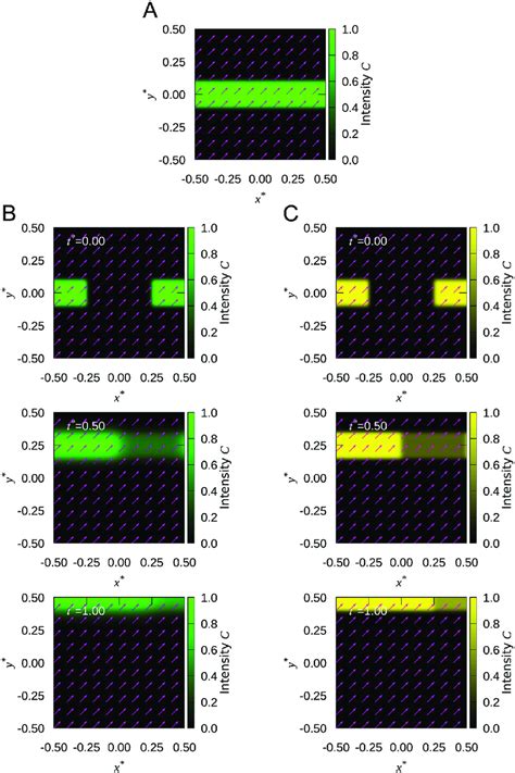 Numerical Simulation Validates The Advection Reaction Model A The