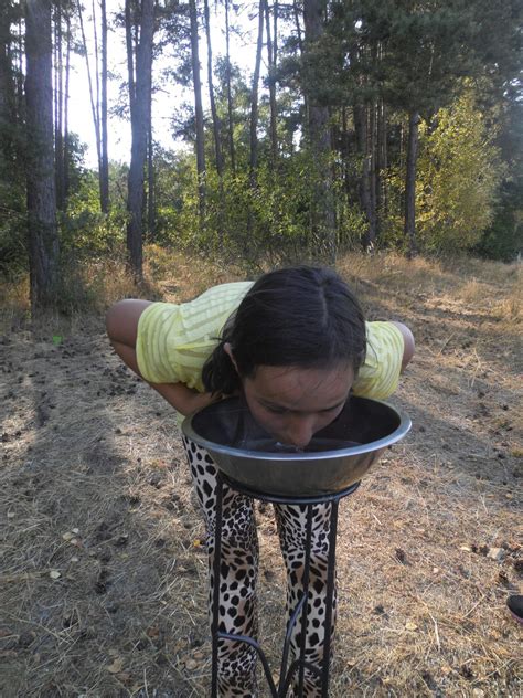 Léto Vynálezů Viitrunus 8 1582015 Lukafarm Album On Rajče