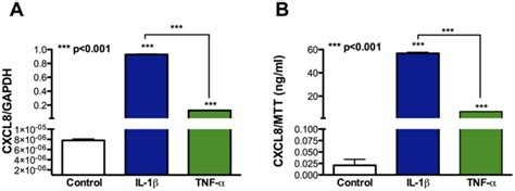 Cultured Human Astrocytes Were Treated With Il 1β 20 Ng Ml Or Tnf α