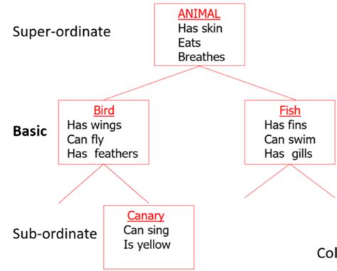 Psych 101 Chapter 8 Flashcards Quizlet