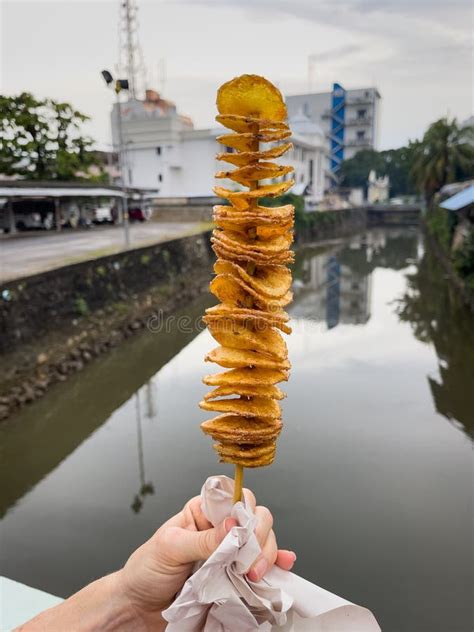 Crispy Potato Chips On Spiral Skewer Stock Image Image Of Original